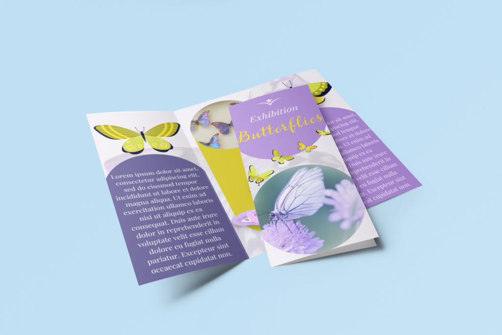 A3 Folded Twice - Star Print